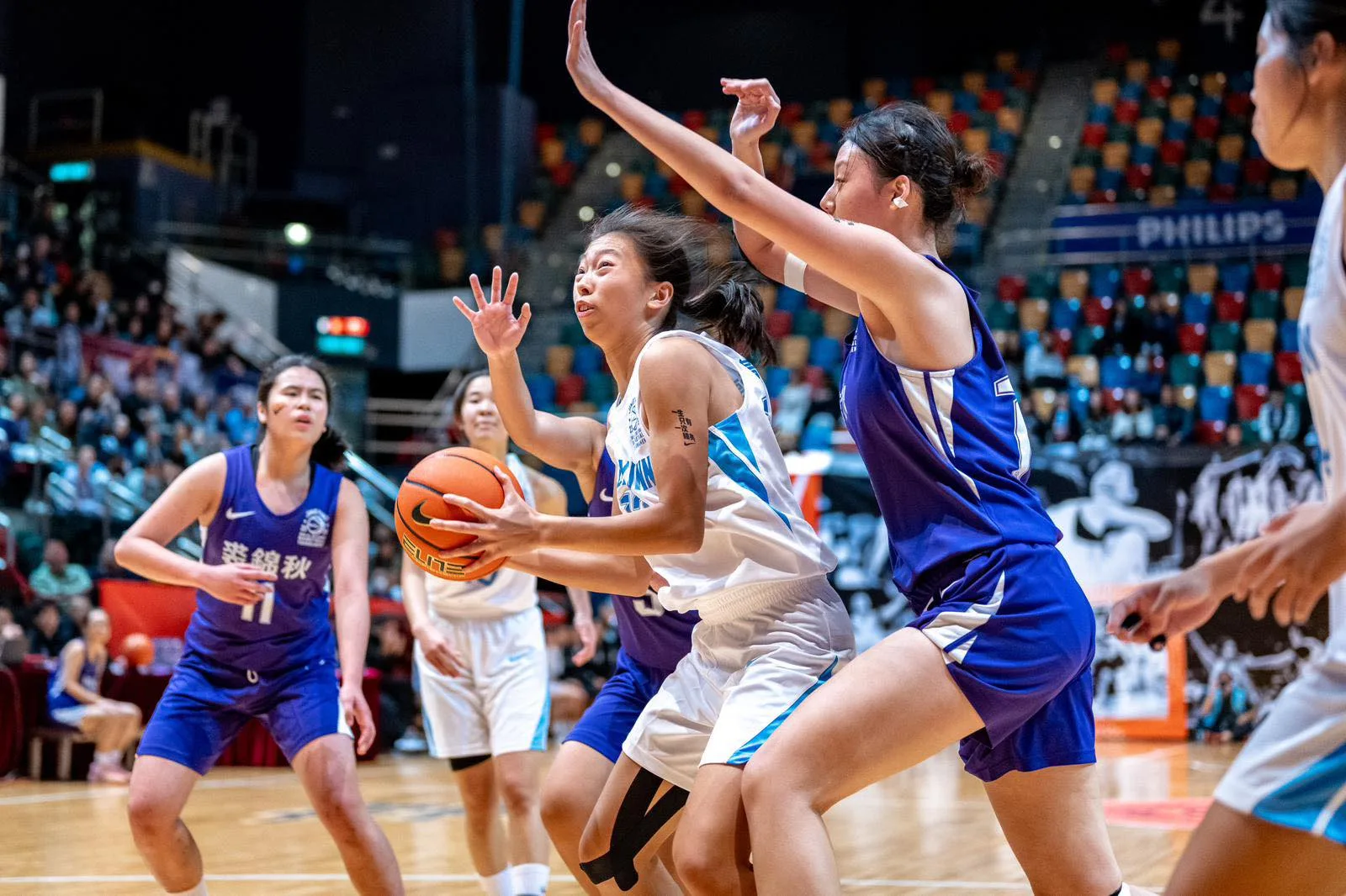 422221811_764741768861060_5414118148870140864_n – WOWSight