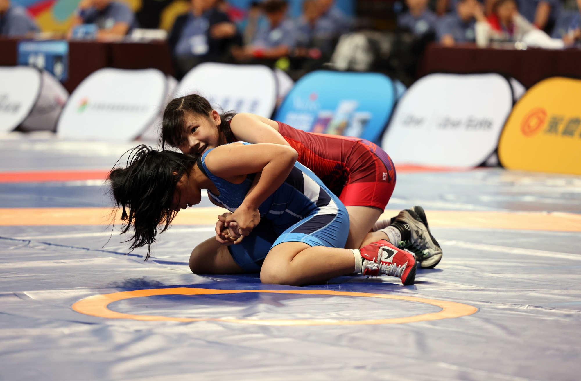 259A2006 – WOWSight