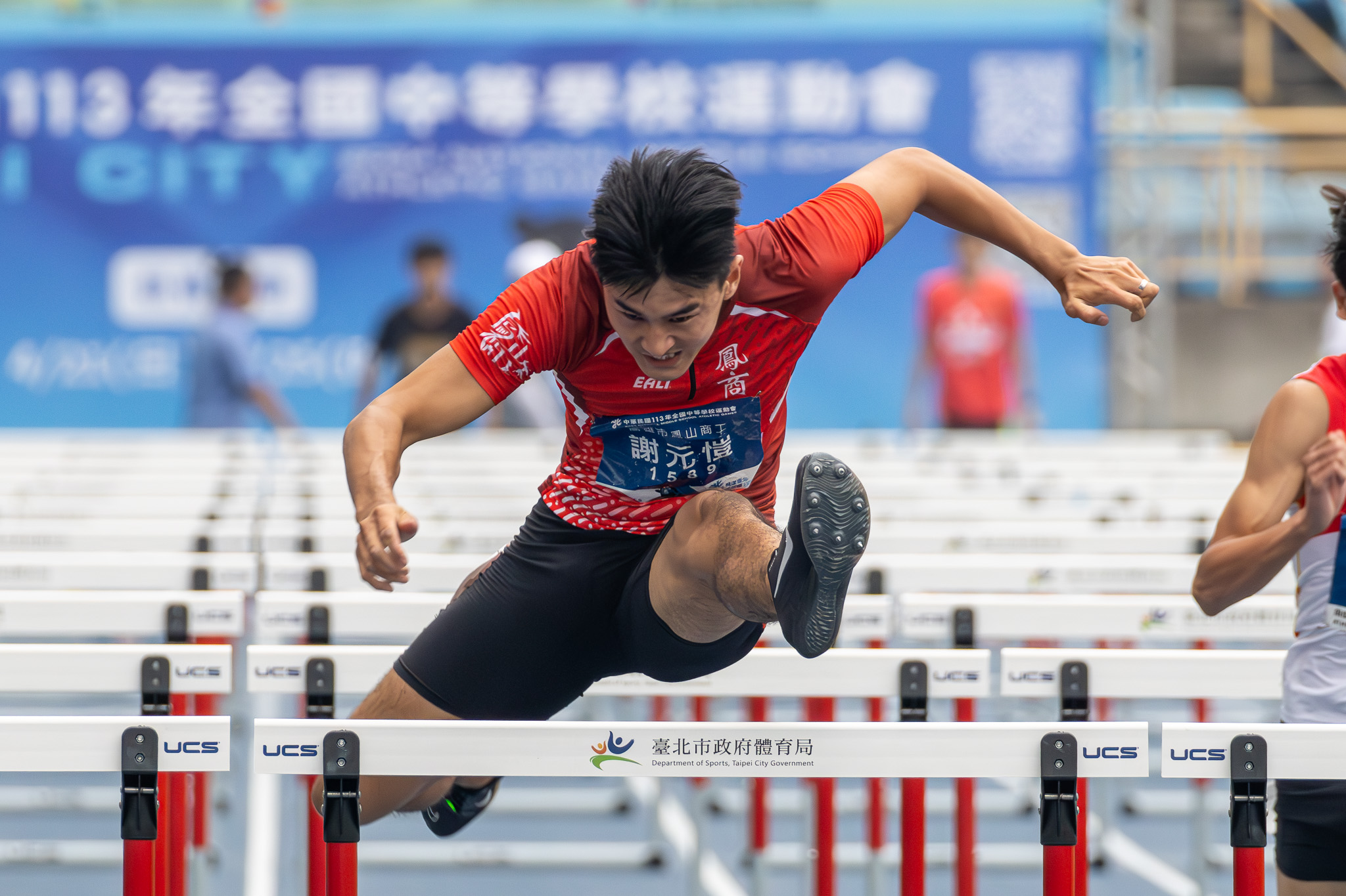 IMG_8212-Enhanced-NR – WOWSight